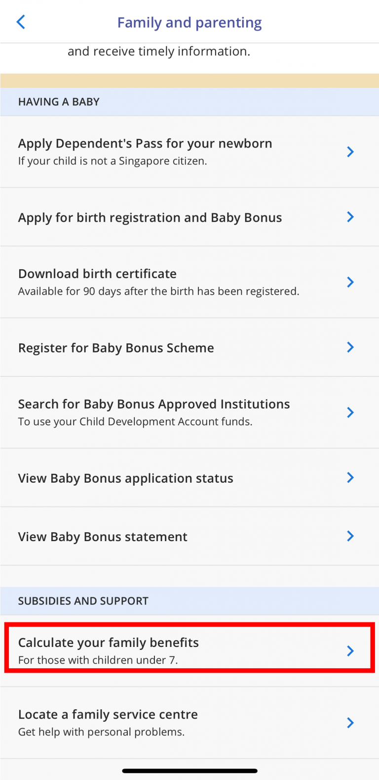From Birth To P1 Registration: Guide To Navigating Your Child’s Key ...